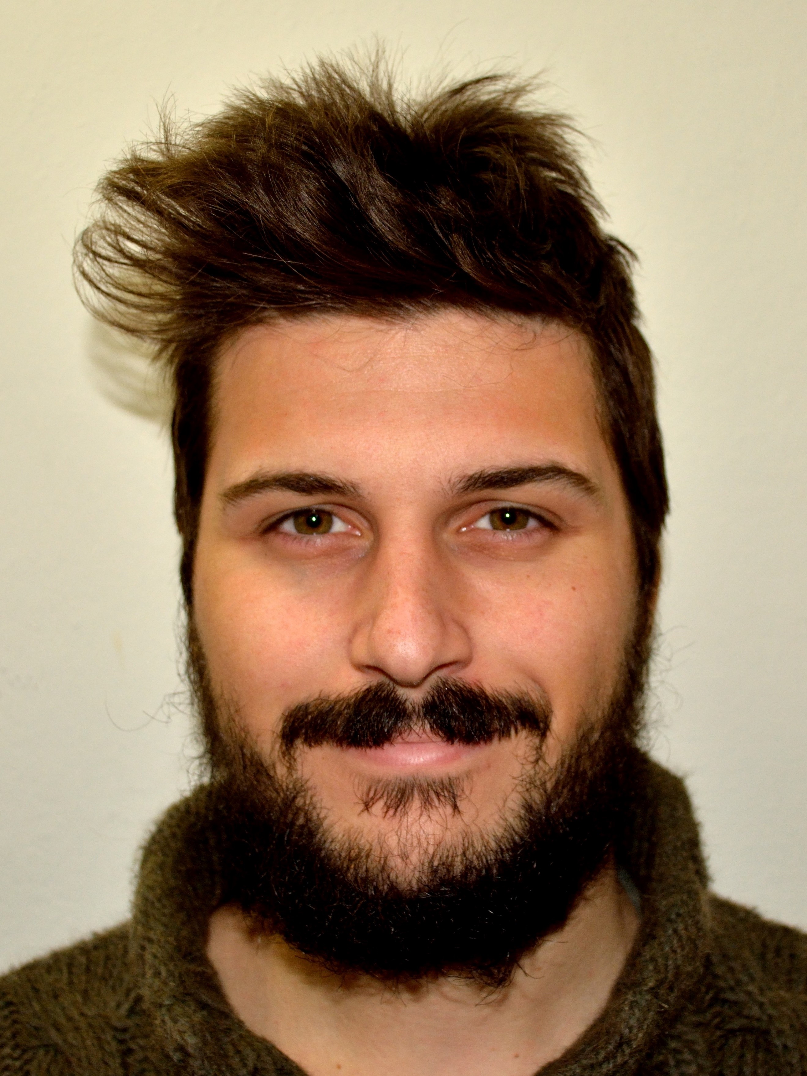 Andrea Ferretti, PhD | fusanilab